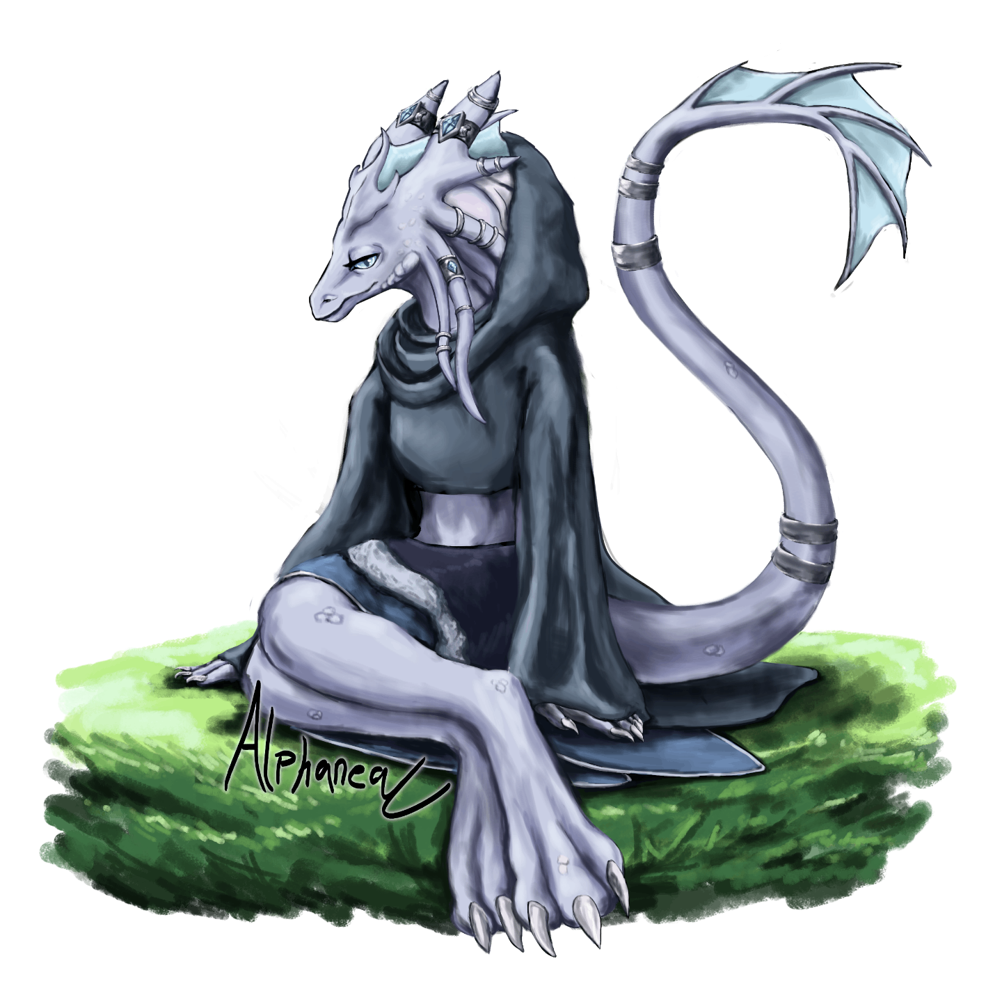 alphanea's Commission Form | Artistree