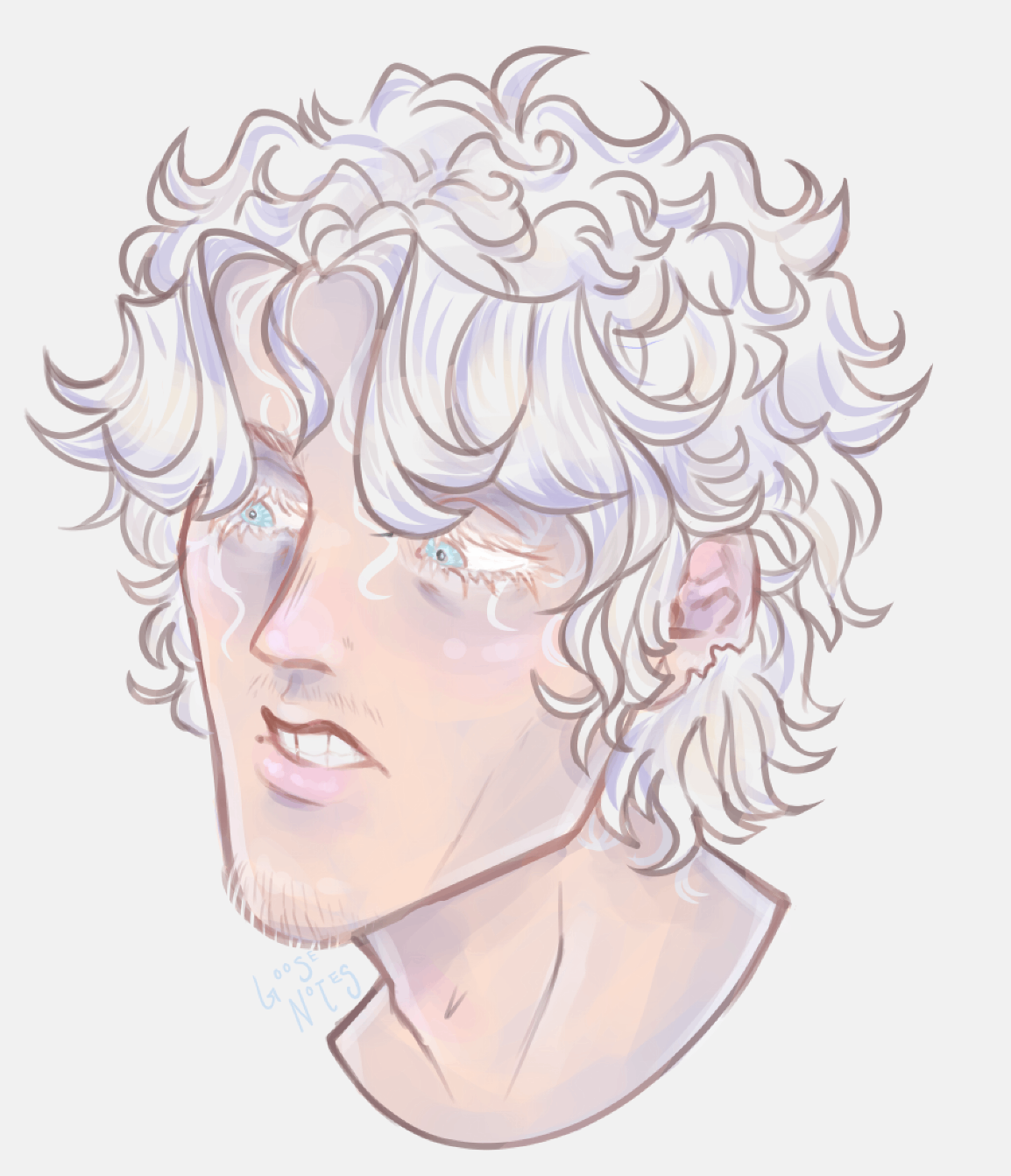 goosenotes's Commission Form | Artistree