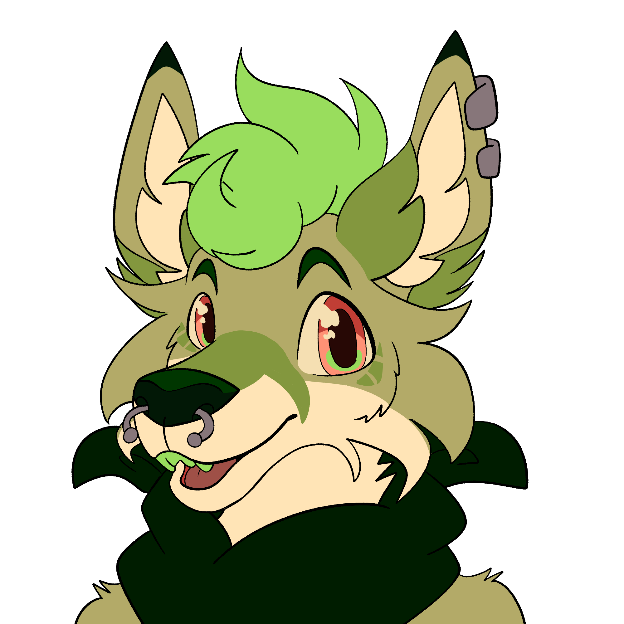loonywolf.art's Commission Form | Artistree