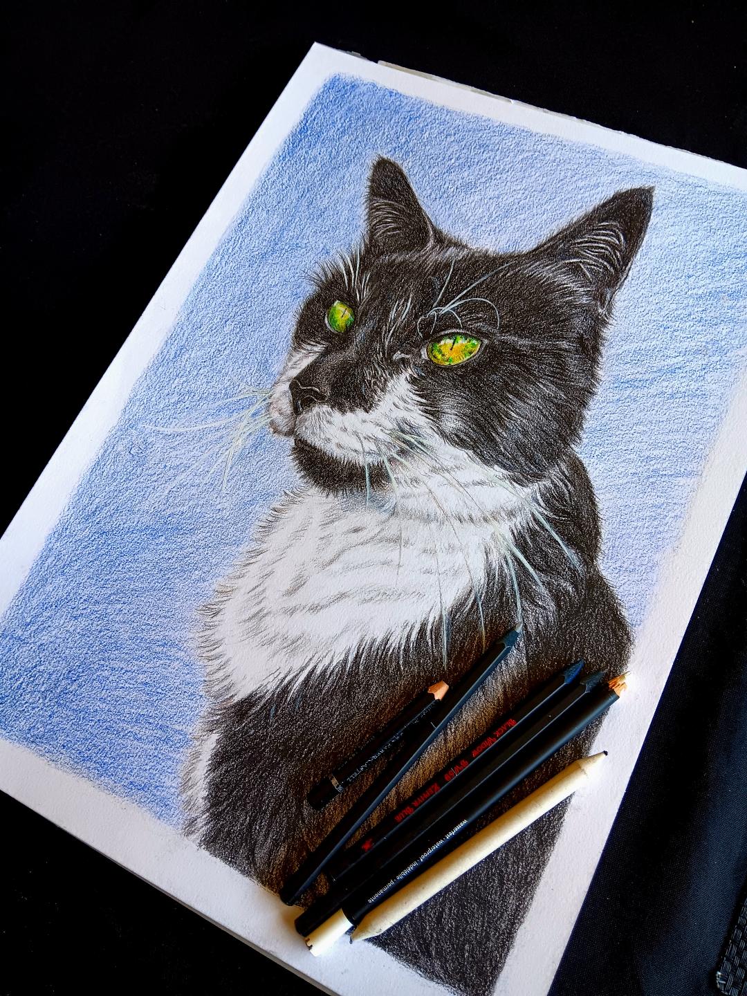 lucytrainportraits's Commission Form | Artistree