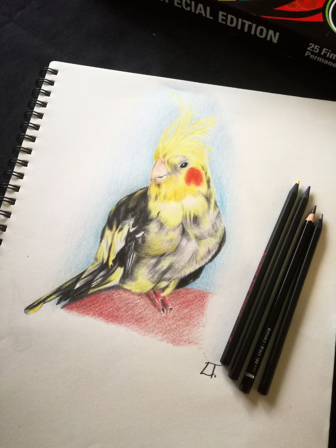 lucytrainportraits's Commission Form | Artistree