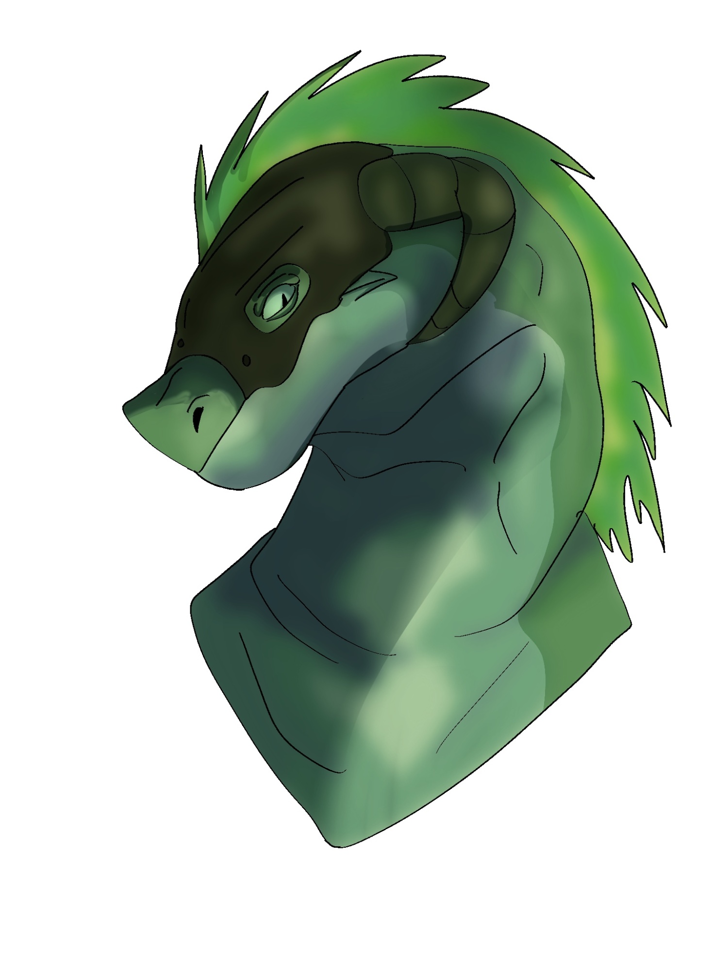 metalraptor52's Commission Form | Artistree