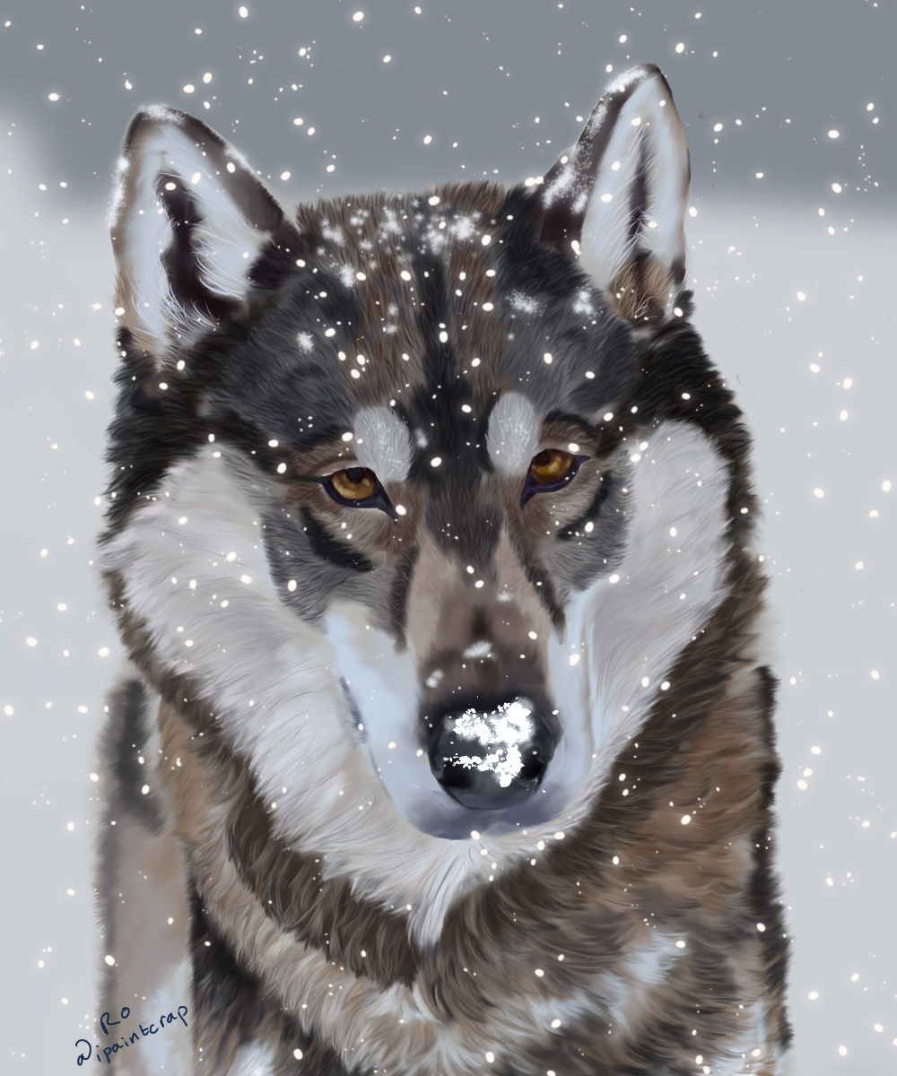 roch's Commission Form | Artistree