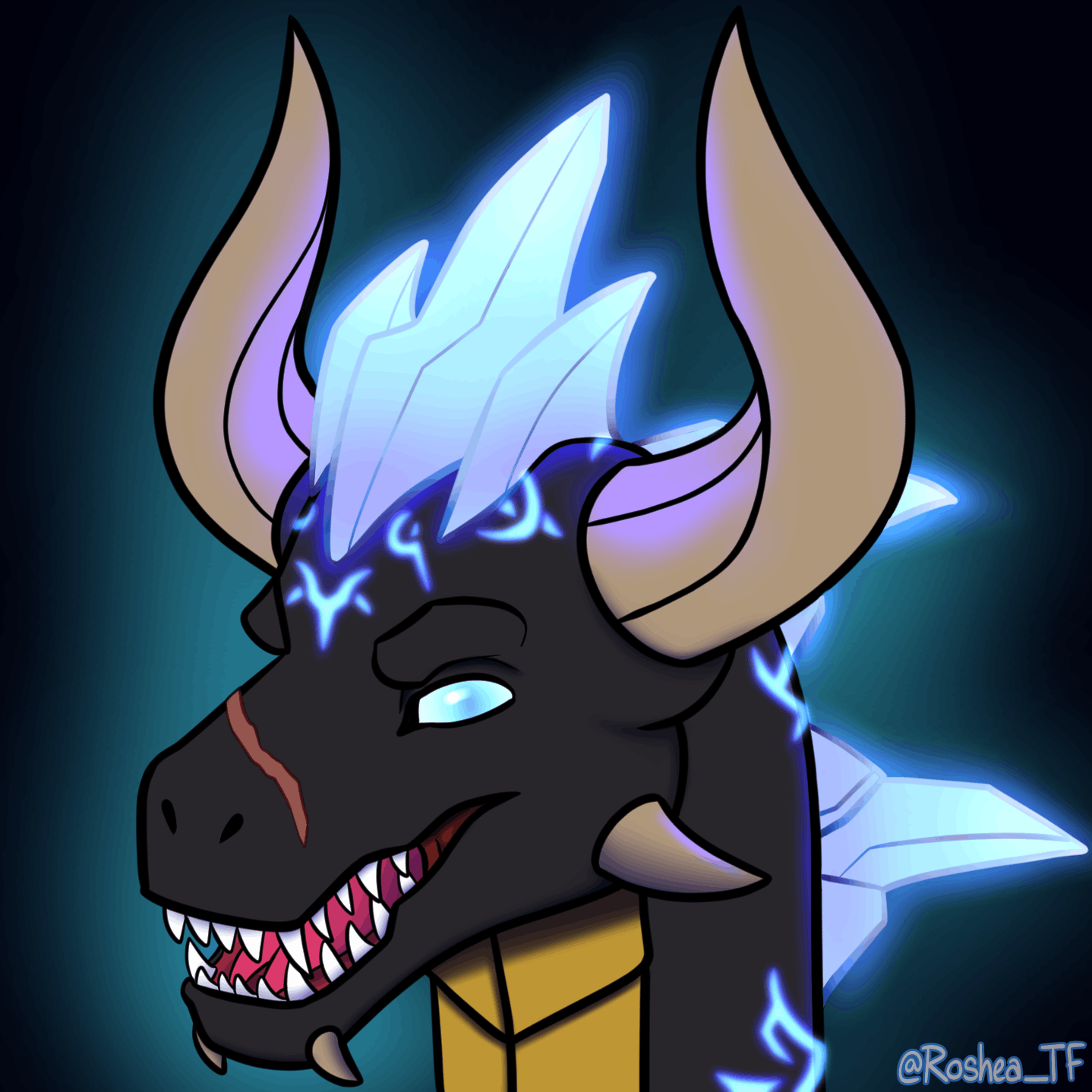 roshea's Commission Form | Artistree