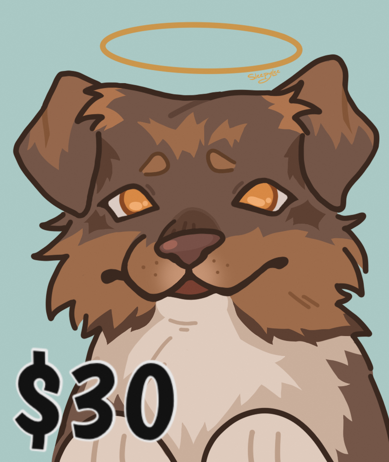 sleepylee's Commission Form | Artistree