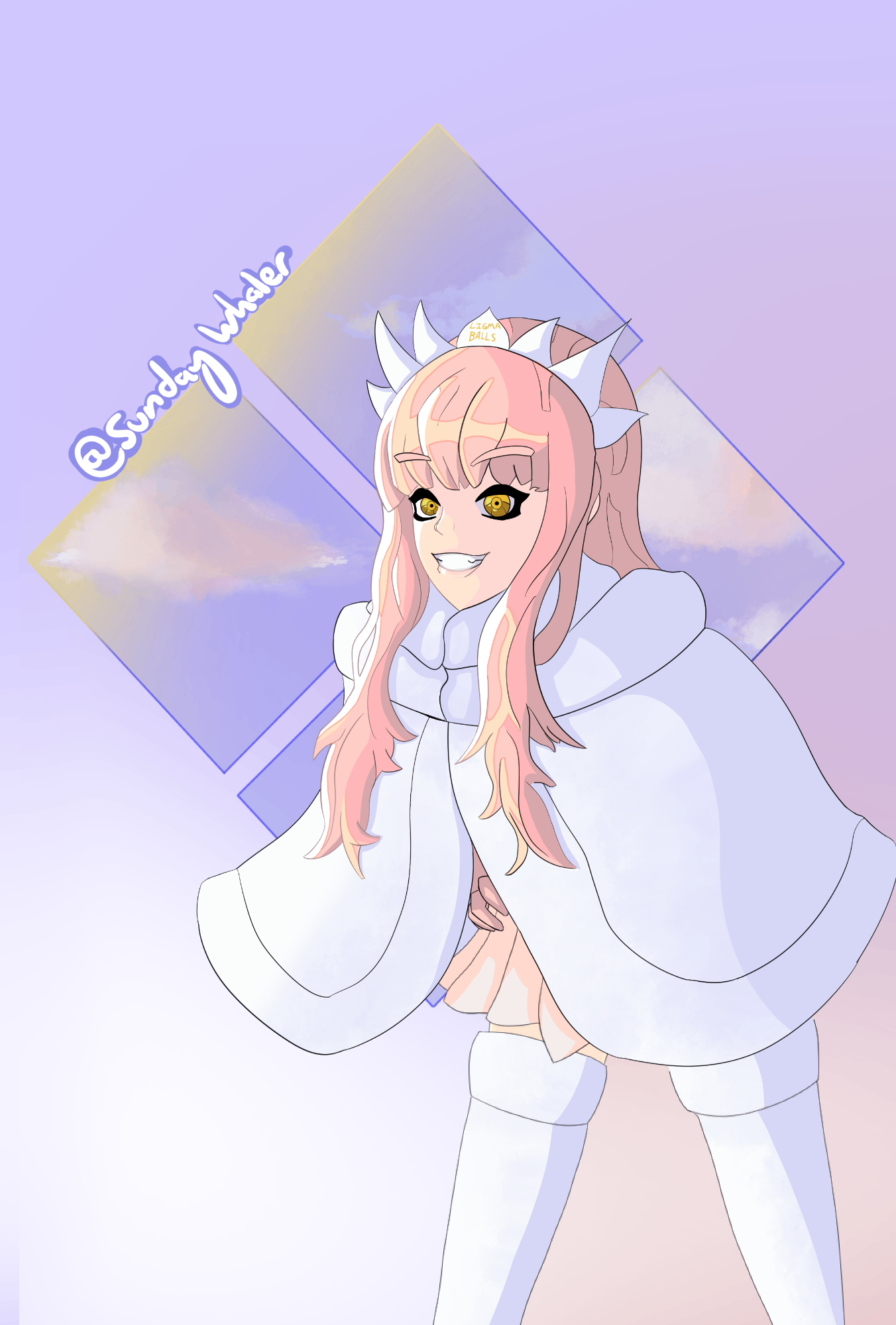 sundaywhaler's Commission Form | Artistree