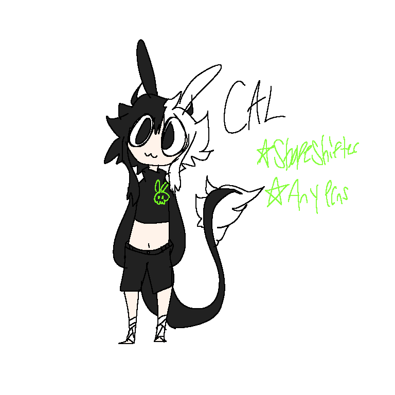 virtualghoul's Commission Form | Artistree